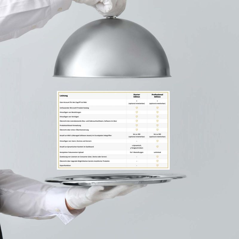 Übersicht über die gängigsten Software-Lizenzmodelle - Audit Butler